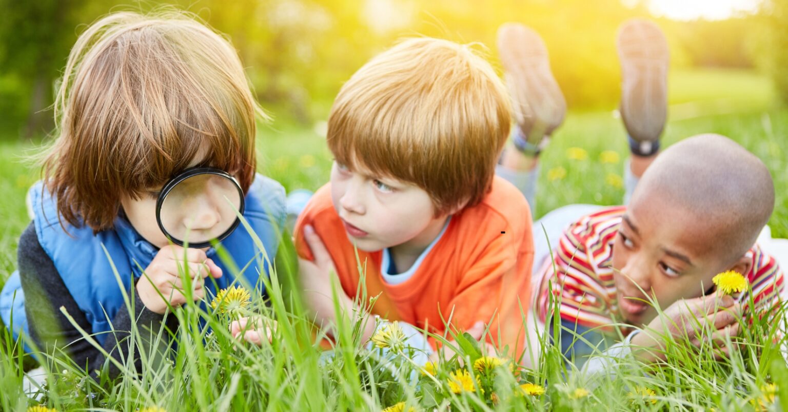 7 Ways to Overcome the Fear of Wasps and Bees for You Child